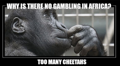 Top 10 Gambling Memes