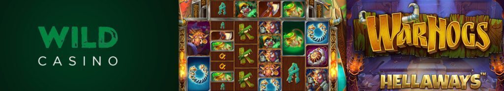 What Are the Best Wild Casino Slots?